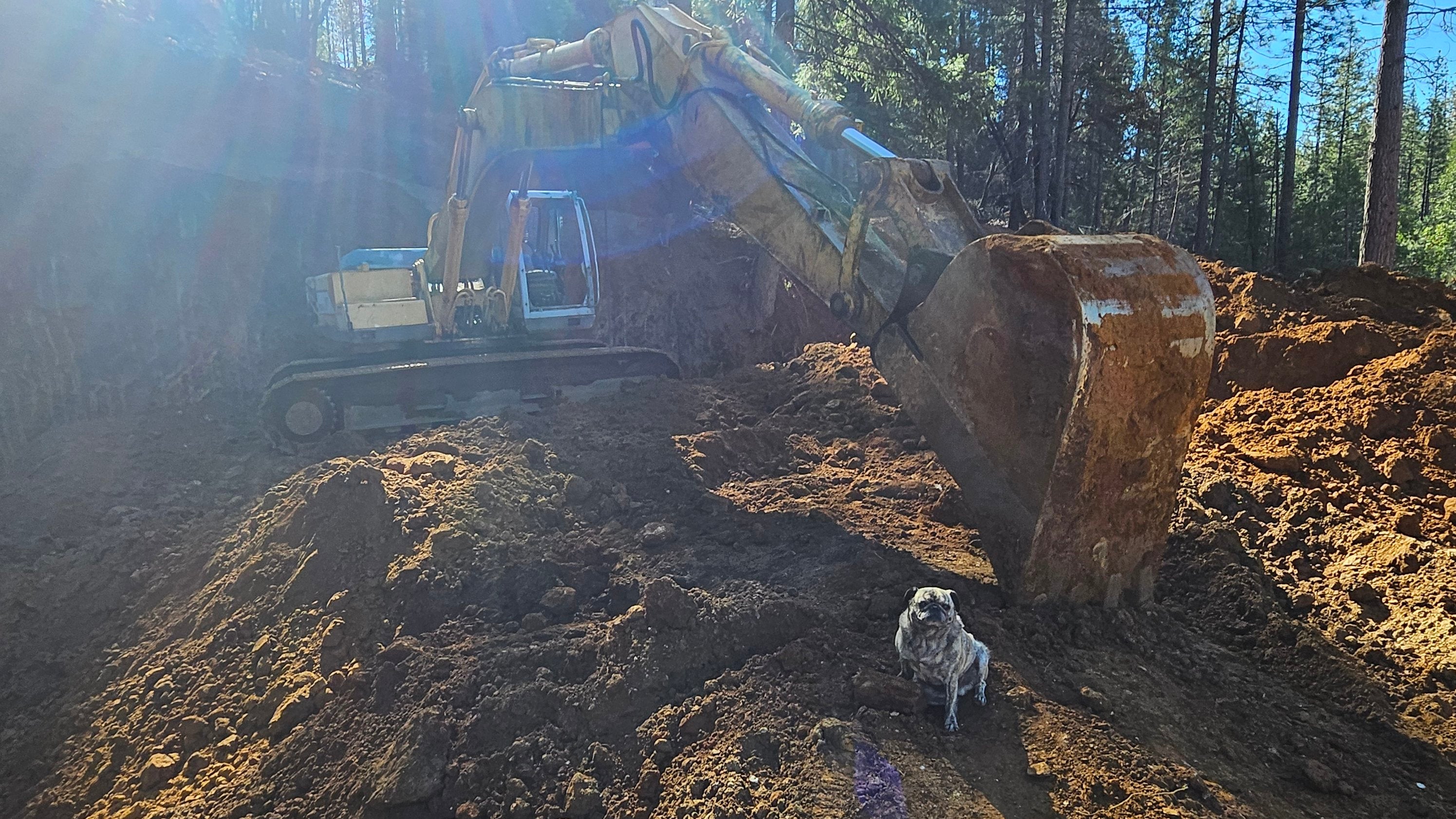 Frontpage – Goldbay Paydirt and Gold Nuggets