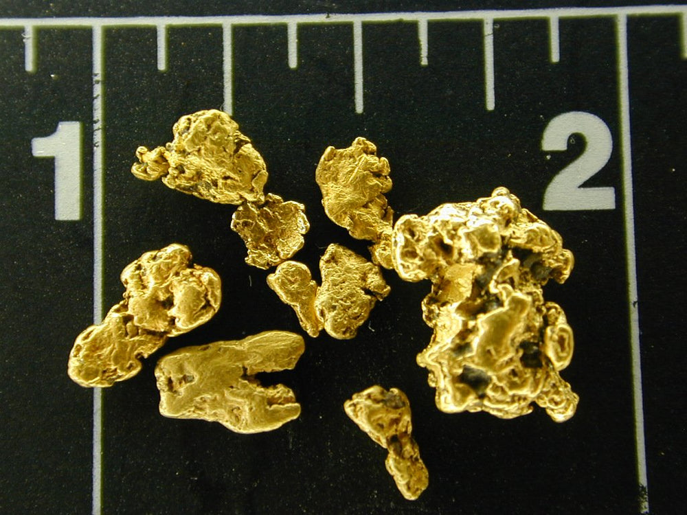 Goldbay Paydirt and Gold for sale – Goldbay Paydirt and Gold Nuggets