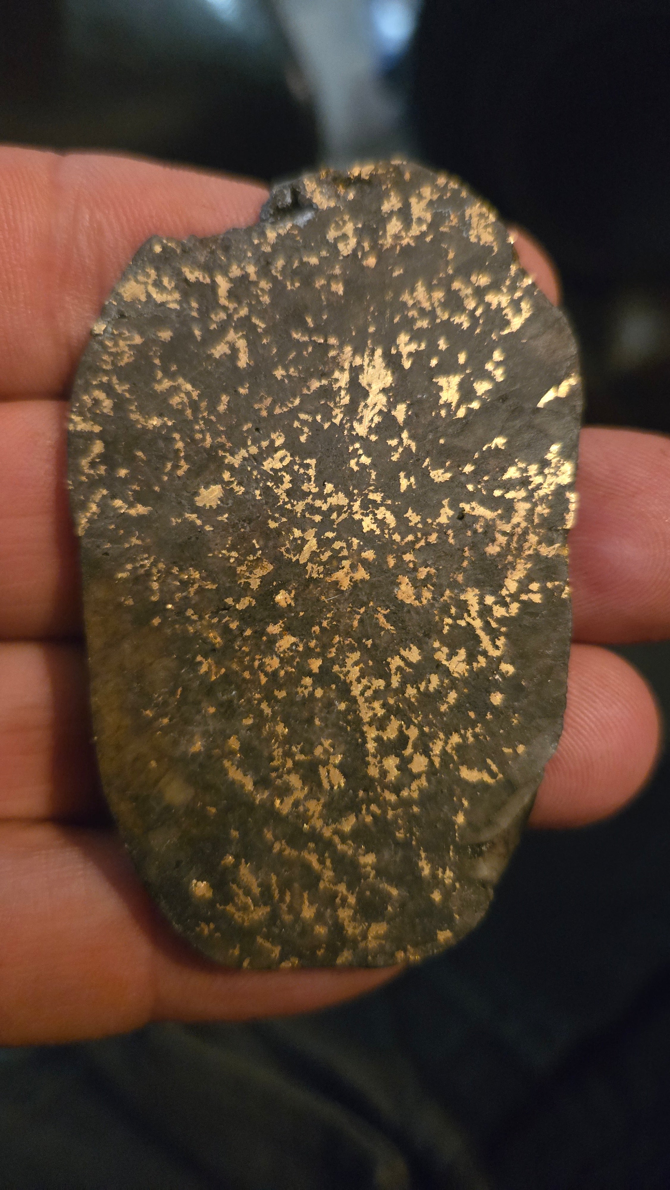 Oregon Gold-in-Quartz Slab - Chemically Enhanced Black Matrix 35.93 gr ...